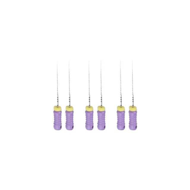 Profa C File st.st. Endo Hand File 25 mm – MedSTA