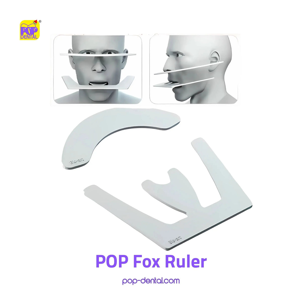 Pop Fox Ruler – MedSTA